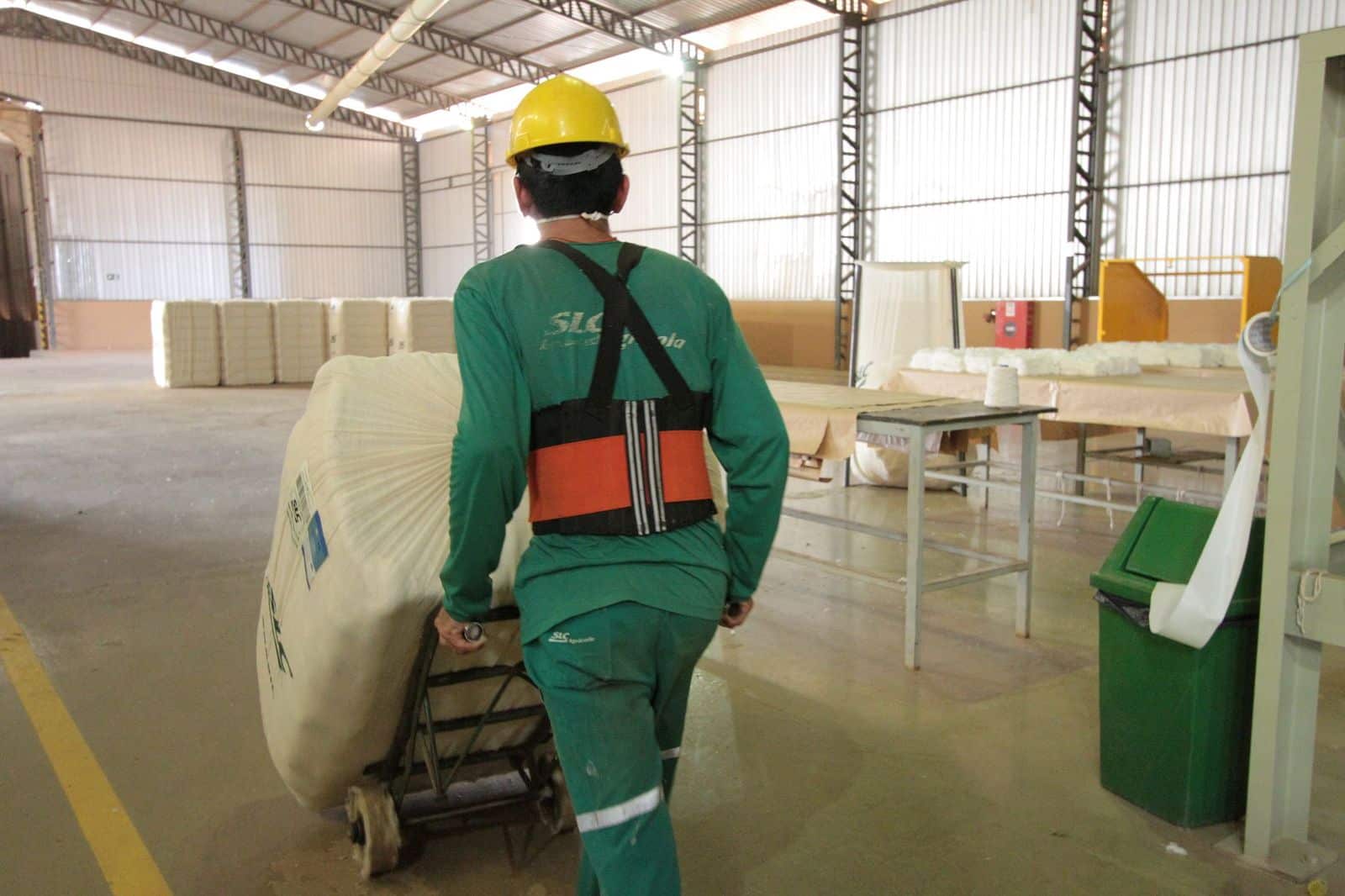 Brazilian cotton: why that is the most sustainable choice - Cotton Brazil