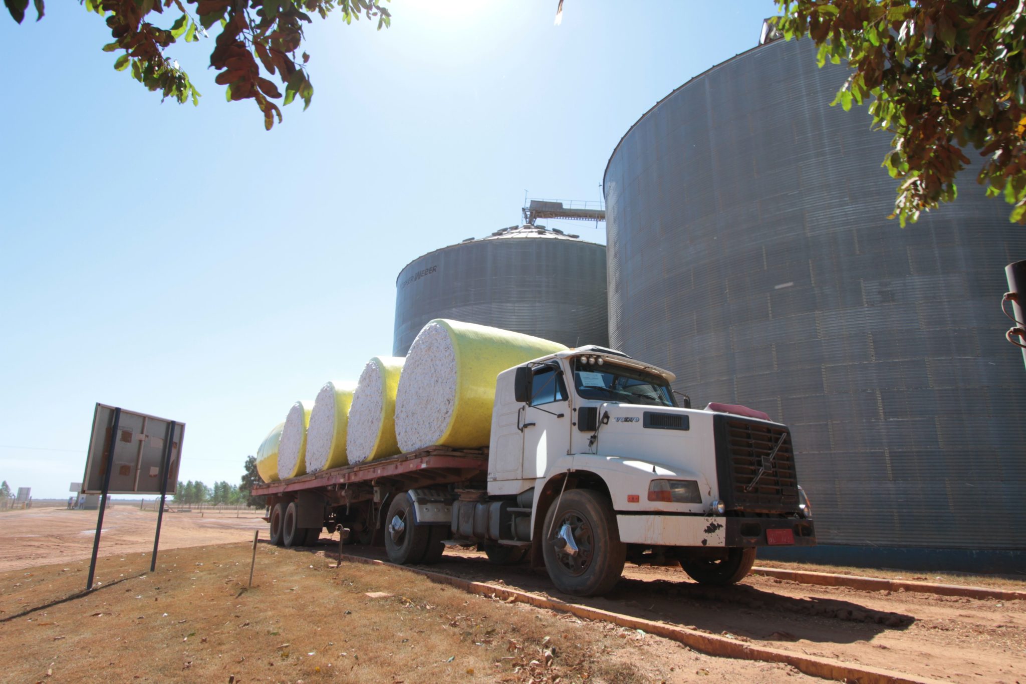 Brazilian cotton ginning is a case in innovation and ensures fiber ...