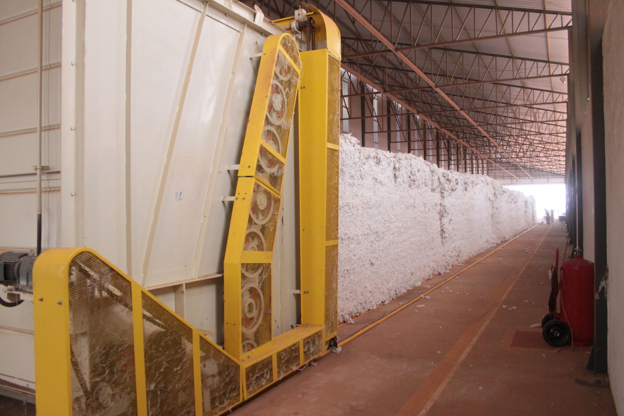 Brazilian cotton ginning is a case in innovation and ensures fiber ...