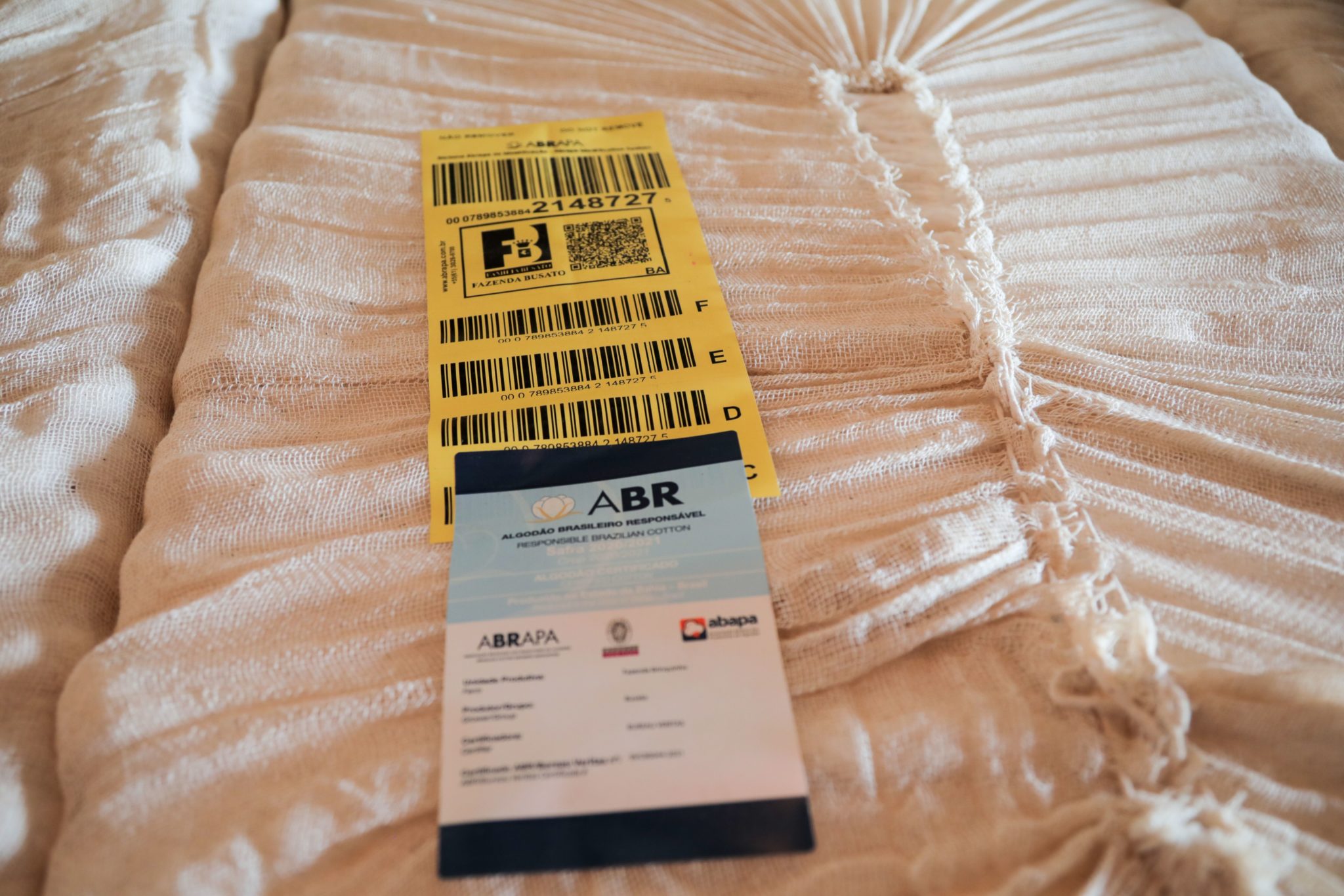 From Seed to Fiber: The Stages of Cotton Plant Development - Cotton Brazil