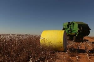After all, how long does it take for cotton to decompose in nature ...