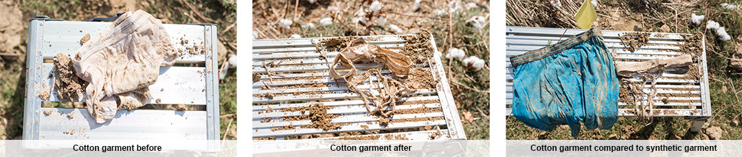Biodegradable Cotton: Nature's Sustainable Solution - Part Two - Cotton ...