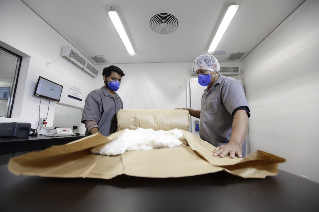 Understand the Cotton Quality Parameters Analyzed by HVI - Cotton Brazil